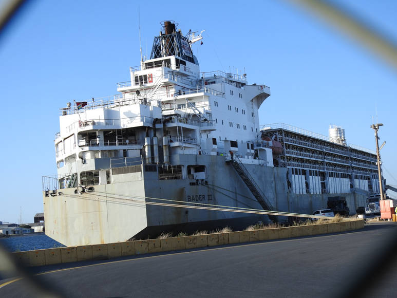 Live export – RSPCA South Australia