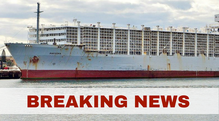 Yet more inhumane conditions inflicted on sheep exported from Port ...