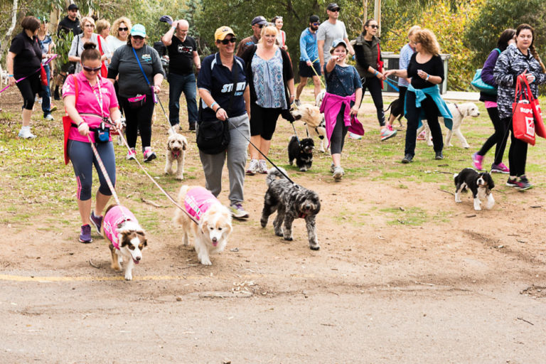 Million Paws Walk celebrates 21st birthday with champion fundraiser who ...