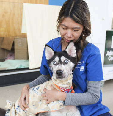 About - RSPCA South Australia