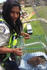 Explore Animal Rescue in Adelaide | RSPCA South Australia