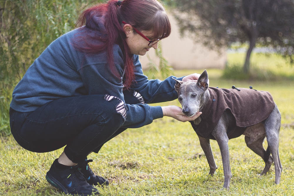 Charlie's story, part 2: A loving foster family and justice in SA's courts