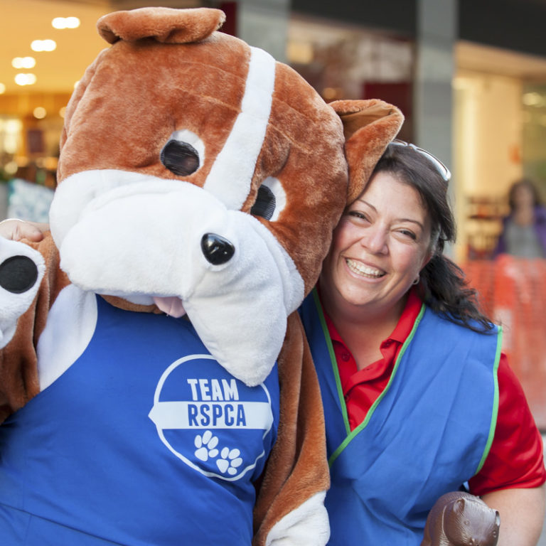 Voluntary Work With Animals Adelaide | RSPCA South Australia