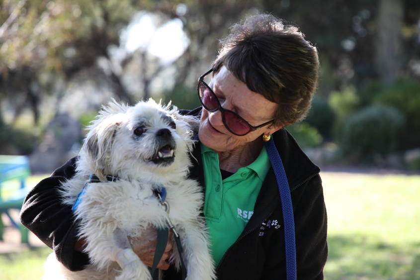 Volunteering – RSPCA South Australia
