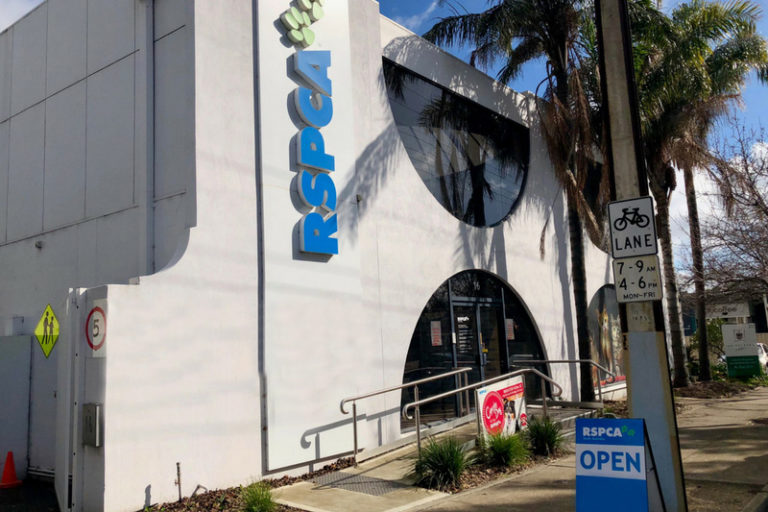 Shelters - RSPCA South Australia