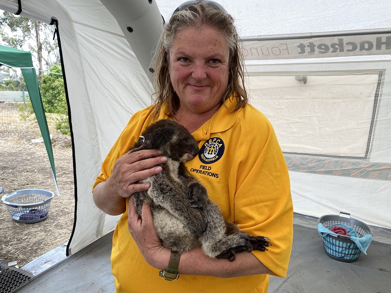 Championing animal welfare for 20 years at RSPCA SA - RSPCA South Australia