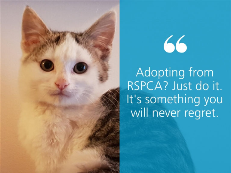 16 truly touching quotes of 2019 - RSPCA South Australia