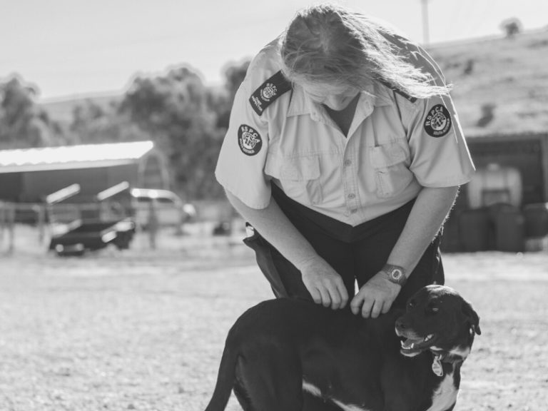 Adelaide's toughest job: A day in the life of an RSPCA inspector