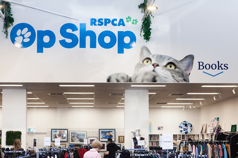 Meet the superstar vollies behind our RSPCA op shops - RSPCA South ...