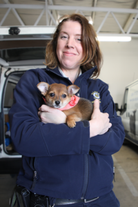 Explore Animal Rescue in Adelaide | RSPCA South Australia