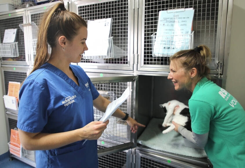 Volunteering – RSPCA South Australia