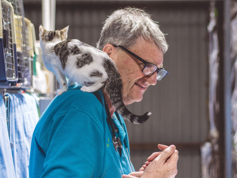 The man who treated over 50 thousand animals, RSPCA pays tribute to ...