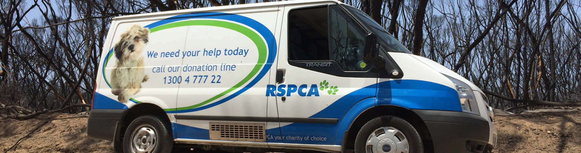 Animal Welfare Inspectors in Adelaide | RSPCA South Australia