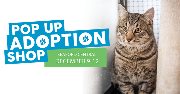 Home - RSPCA South Australia