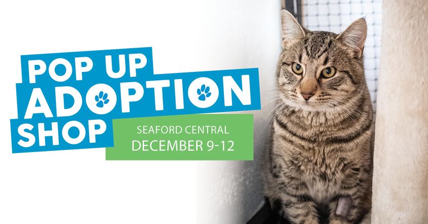 RSPCA op shops – RSPCA South Australia