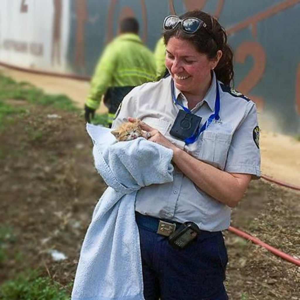 Voluntary Work With Animals Adelaide | RSPCA South Australia