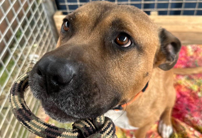 Media releases - RSPCA South Australia