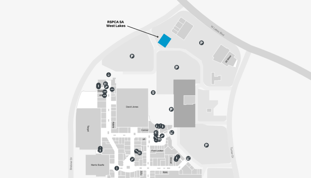 Shelters - RSPCA South Australia