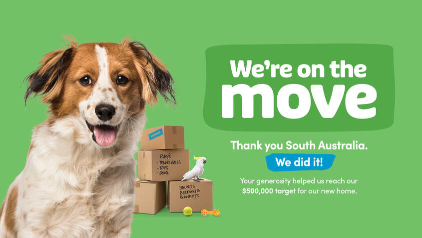 Media releases - RSPCA South Australia