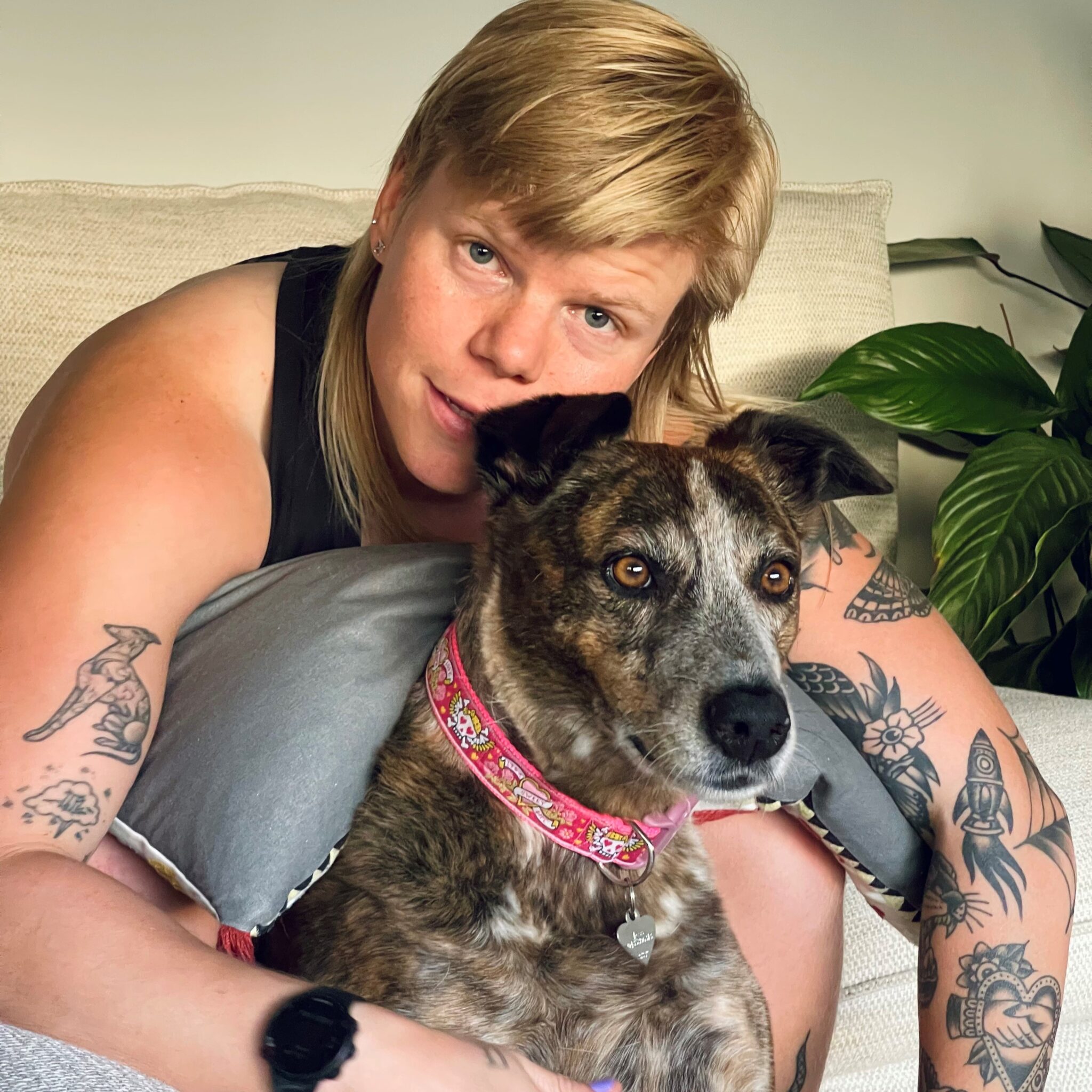 Animal Ambassadors in Adelaide | RSPCA South Australia