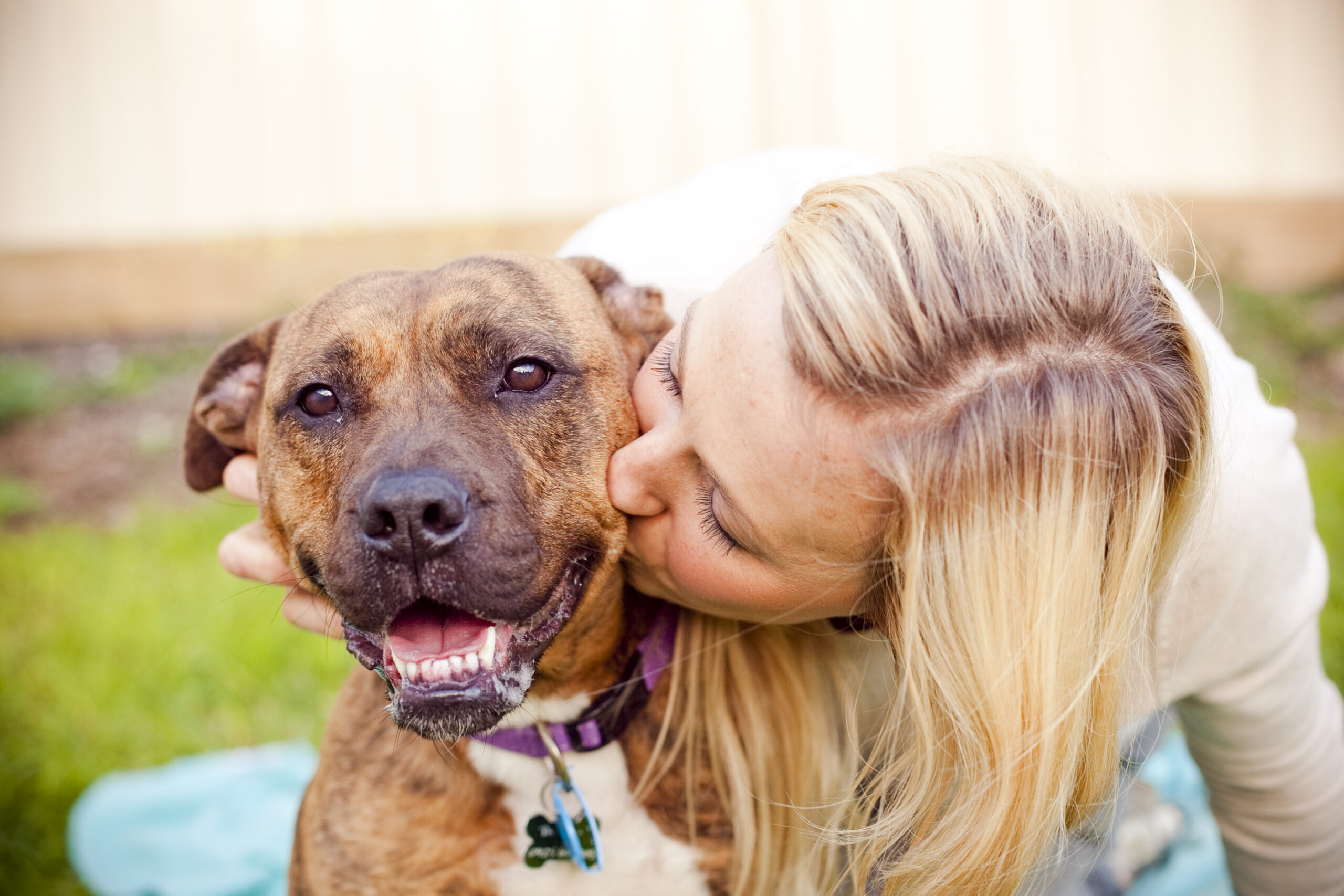 How to keep your pets safe in an emergency - RSPCA South Australia