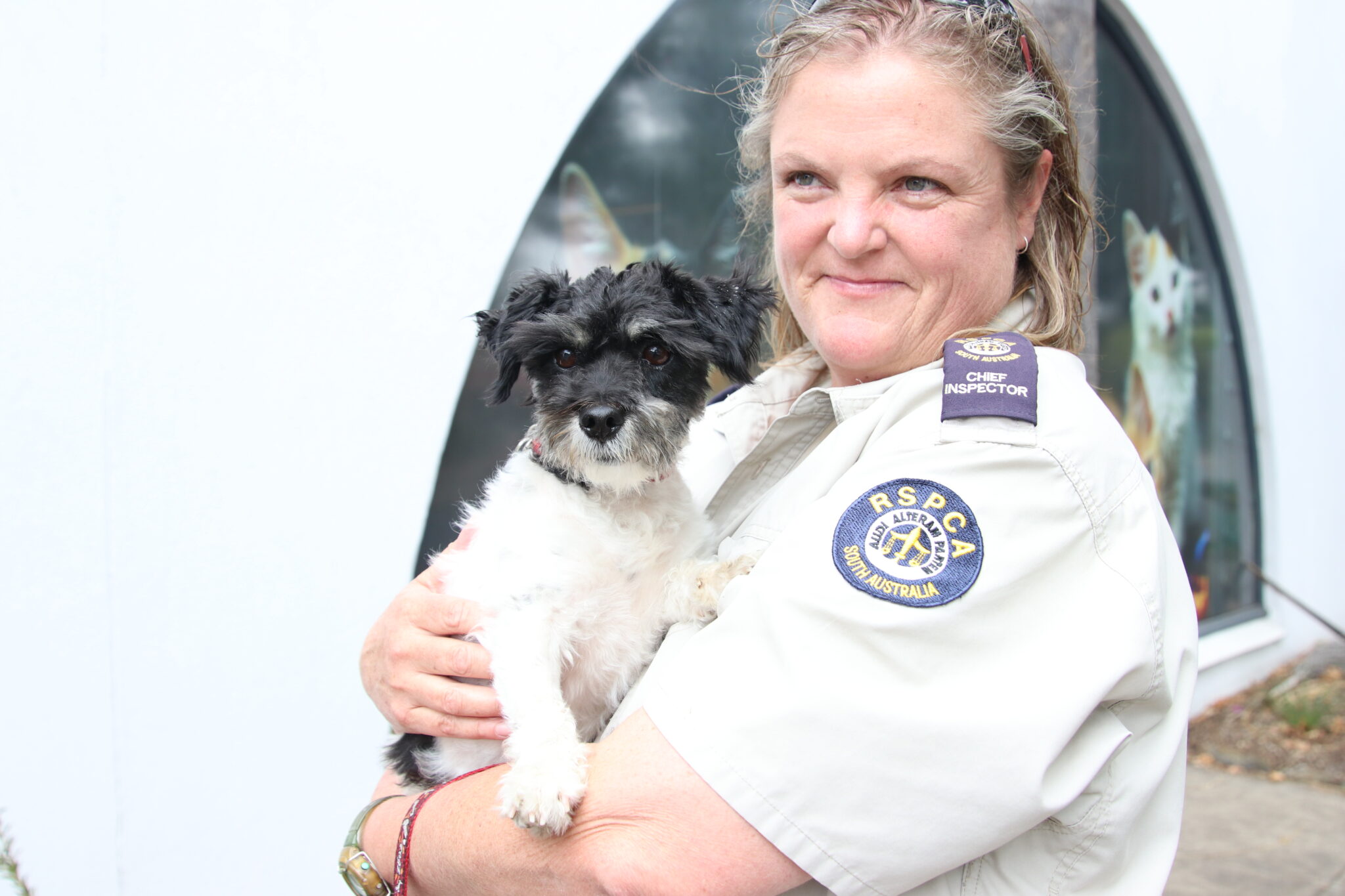 Explore Animal Rescue in Adelaide | RSPCA South Australia