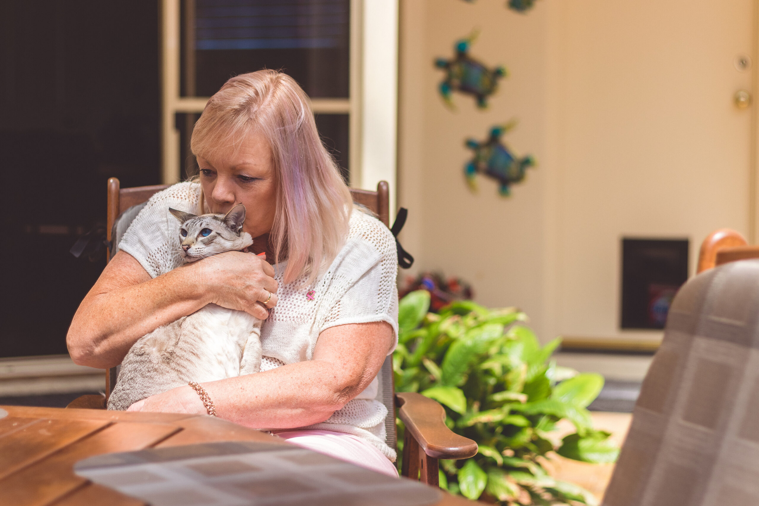 How to keep your pets safe in an emergency - RSPCA South Australia
