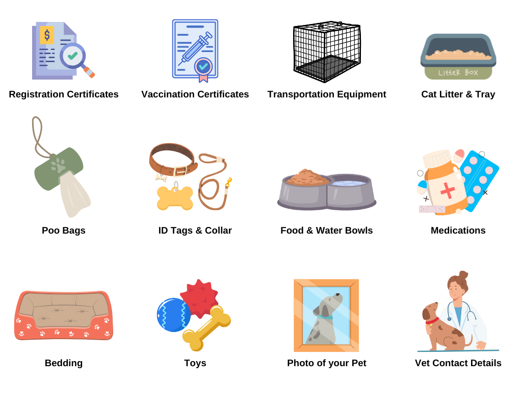 Pet Emergencies in Adelaide | RSPCA South Australia