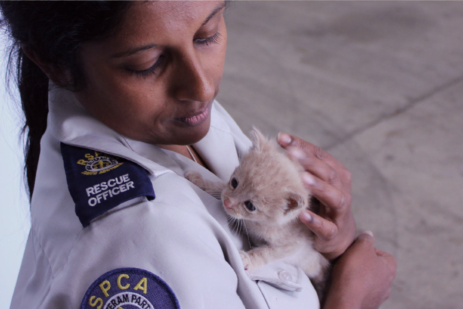 Animal Emergency Services in Adelaide | RSPCA South Australia